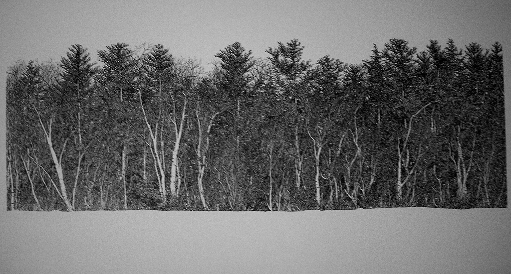 Rural Life - Pen and Ink Drawings by Gene Matras