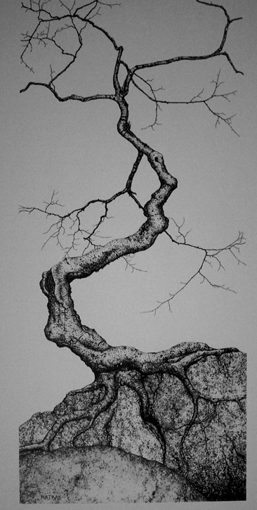 Creative and Inspiring GCSE Art Sketchbook Ideas for Trees