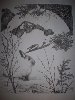 Rabbit Pen & Ink Print - Gene Matra Pen and Ink Drawings